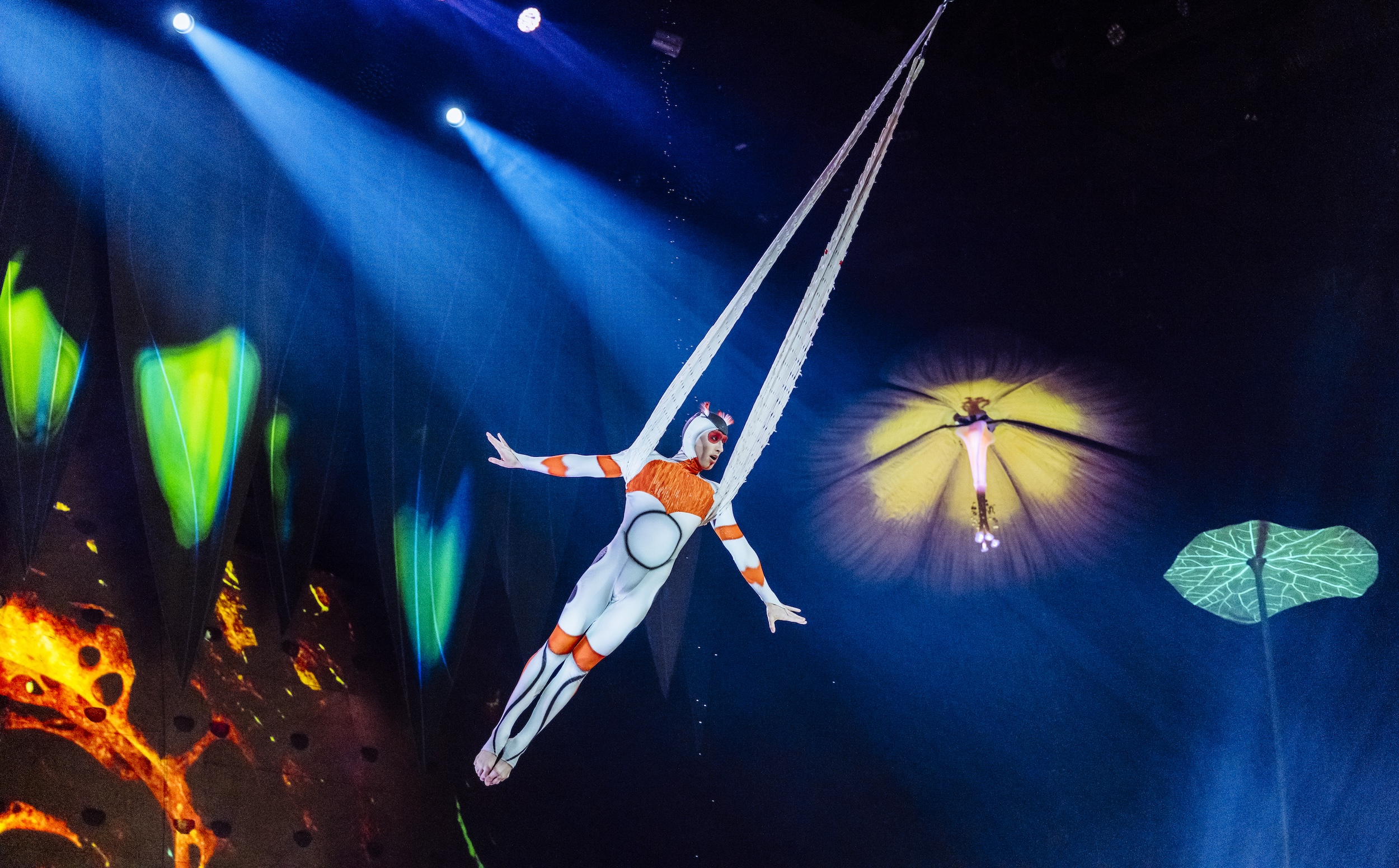 OVO van Cirque du Soleil - eendagjeuit.be